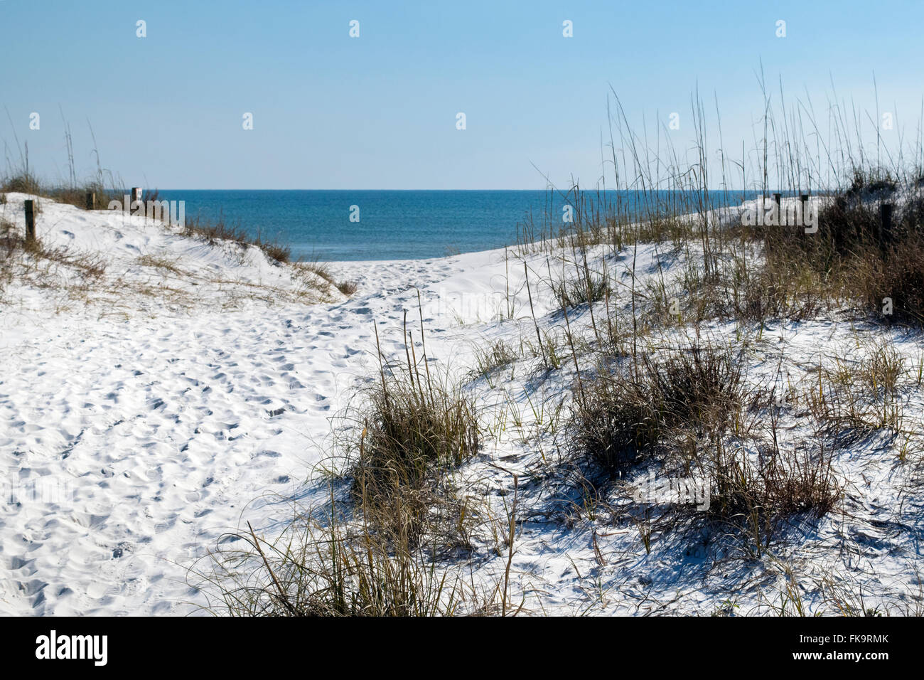 An path through the dunes, leading to the Gulf of Mexico Stock Photo ...