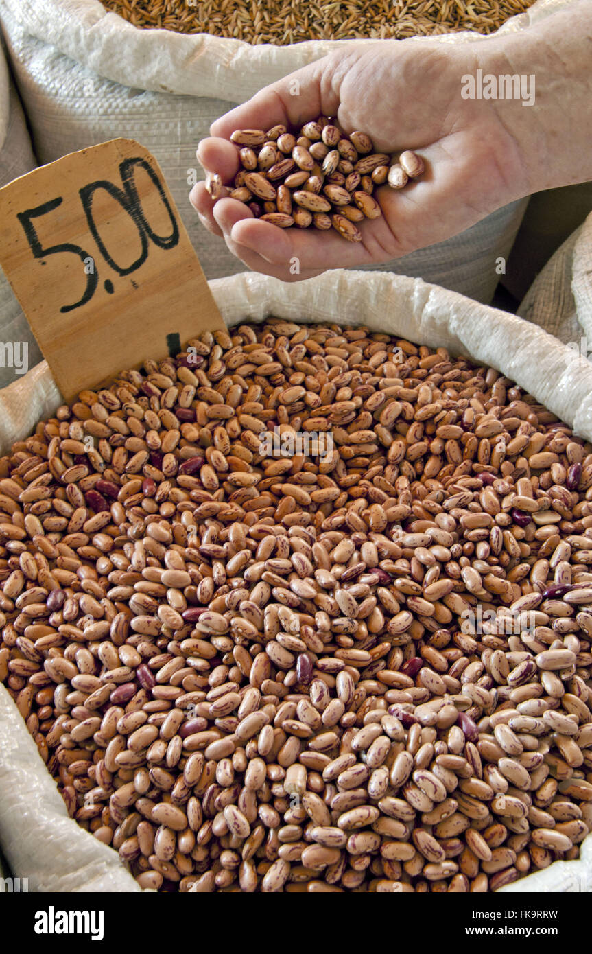 Hand holding serving beans in hi-res stock photography and images - Alamy