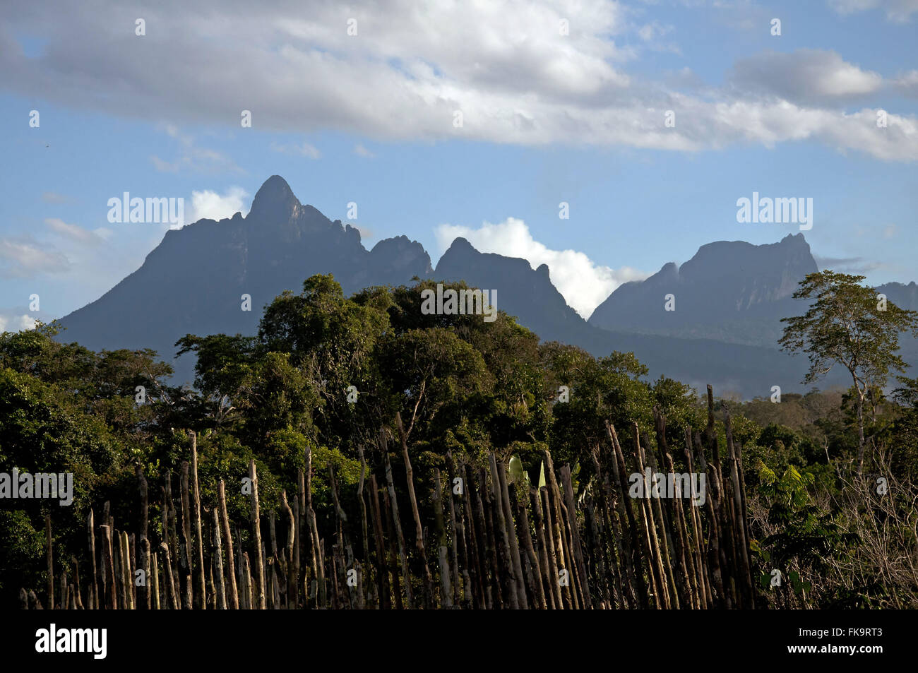 Amazon Forest and Father Serra in the background - border Brazil ...