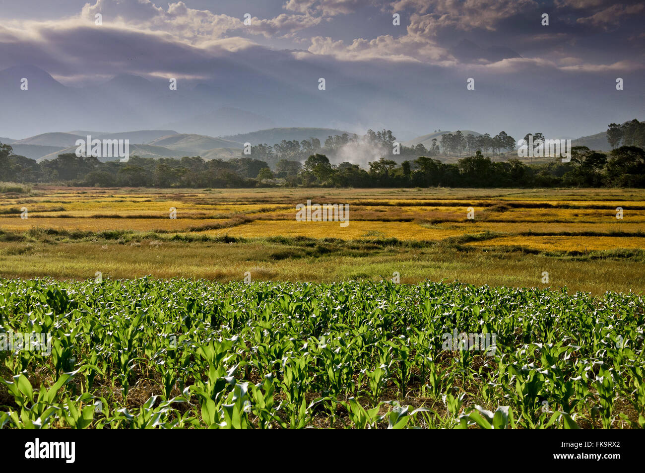 Vale do paraiba hi-res stock photography and images - Alamy