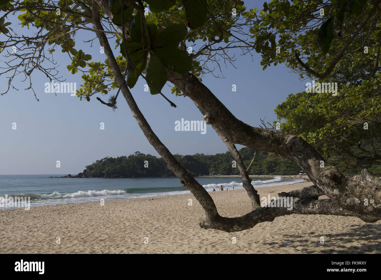 Felix sand hi-res stock photography and images - Alamy