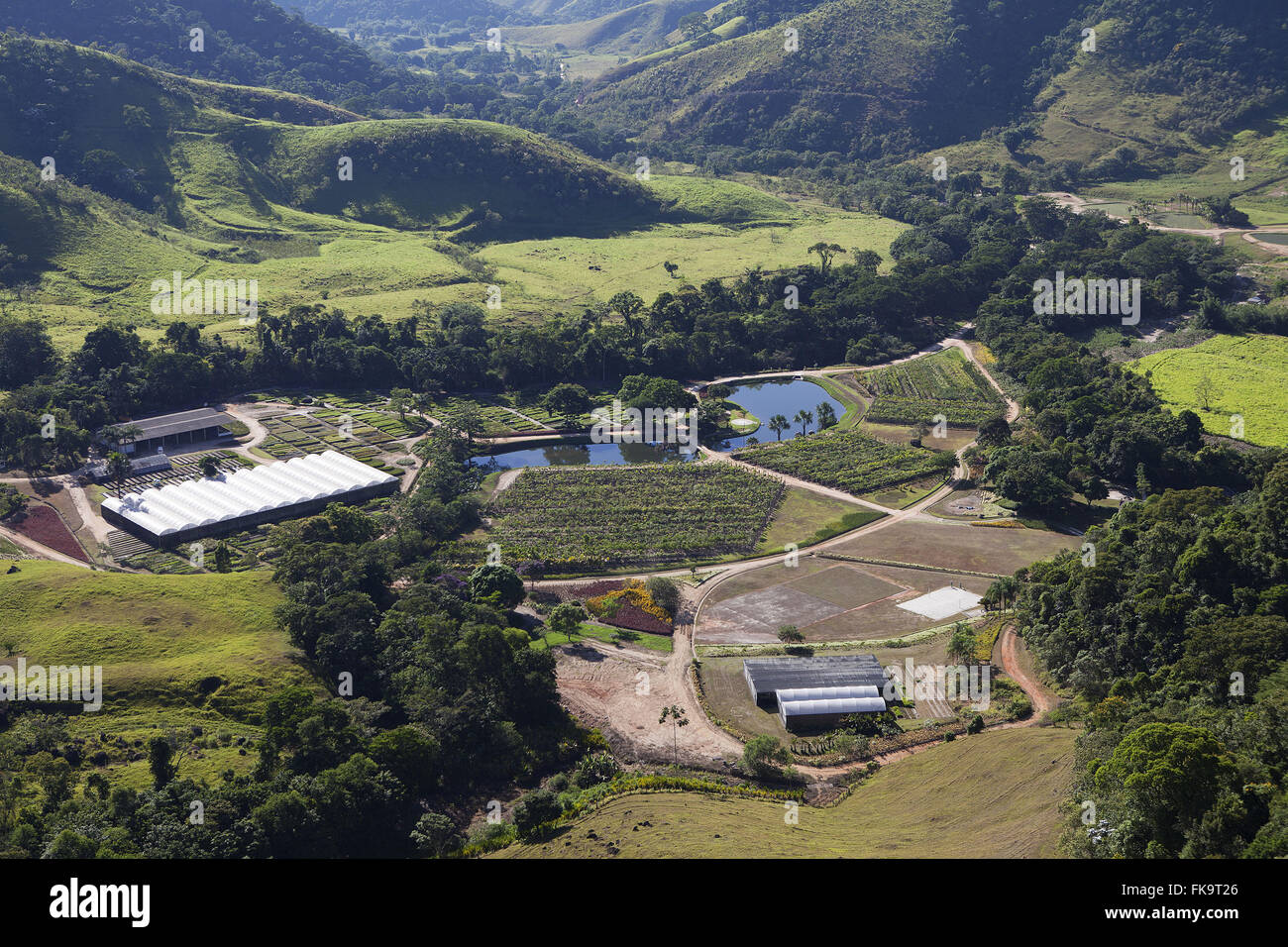 Aerial view of farm plantation of seedlings of rain forest for ...
