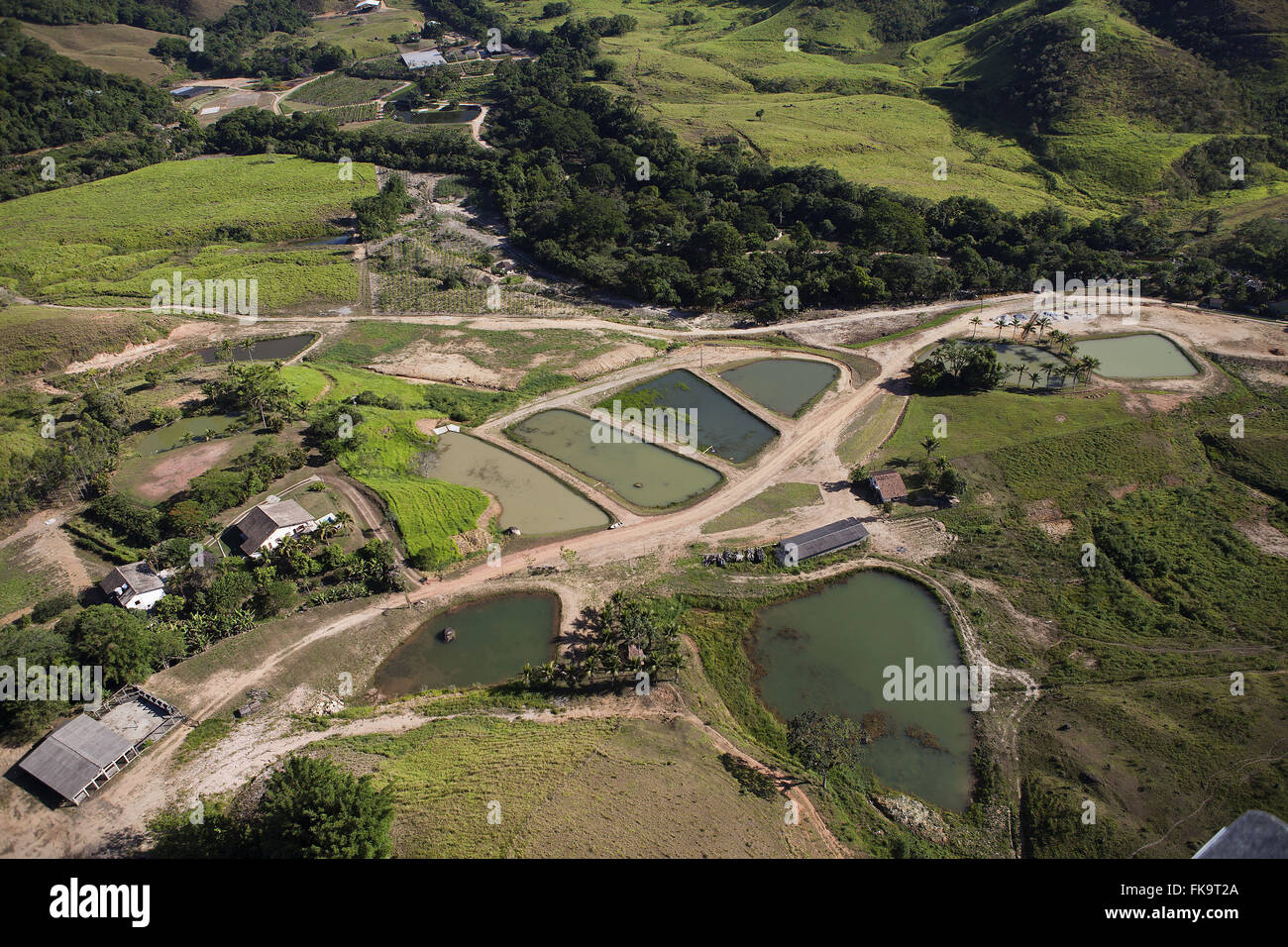 Aerial view of farm plantation of seedlings of rain forest for ...
