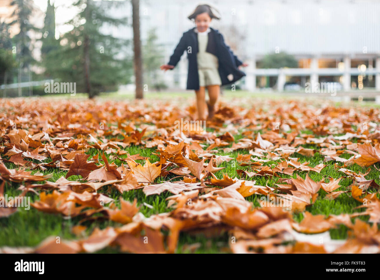 Happy little girl playing with autumn leaves in the park. She is ...