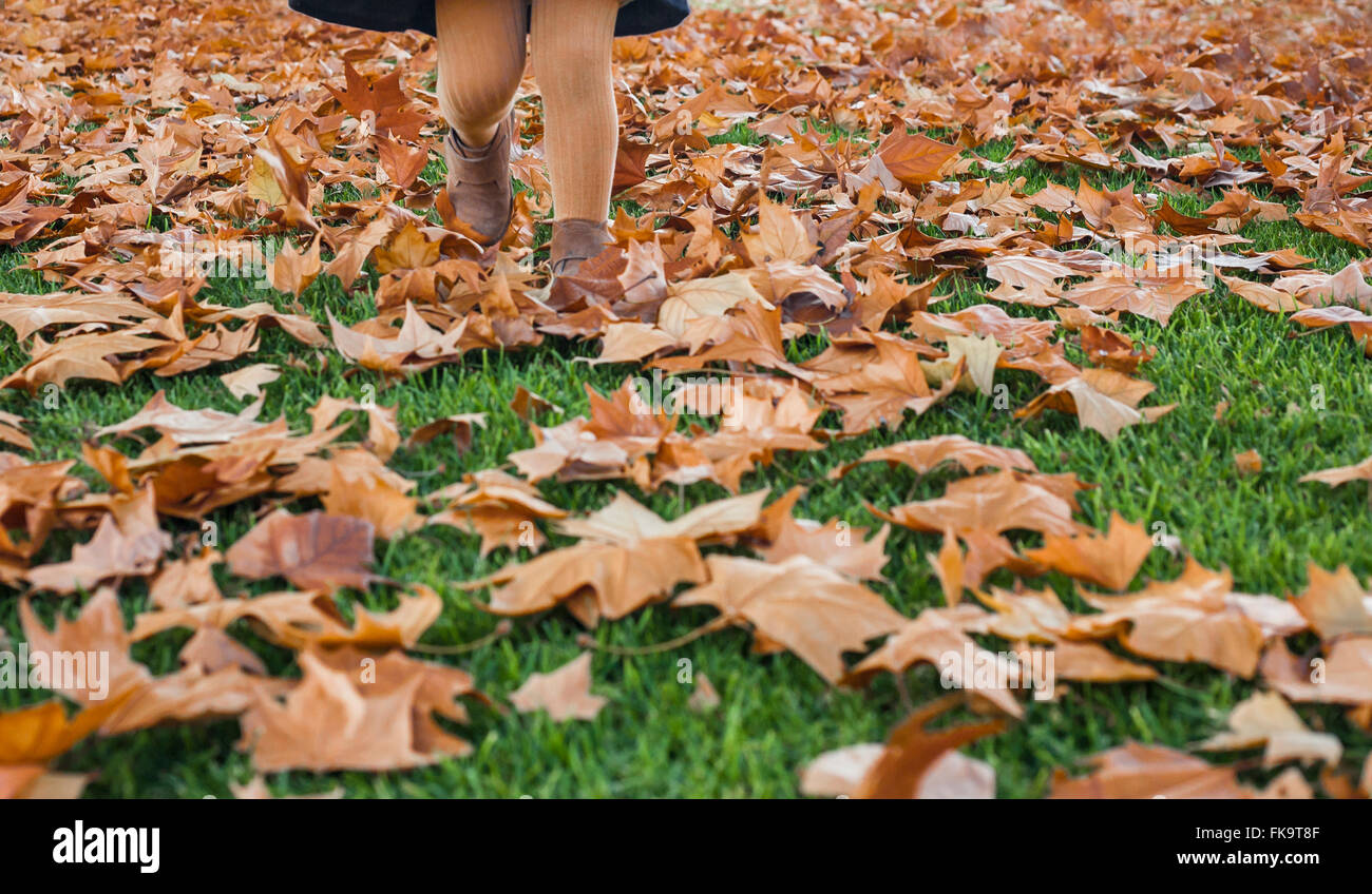 Happy little girl playing with autumn leaves in the park. She is ...