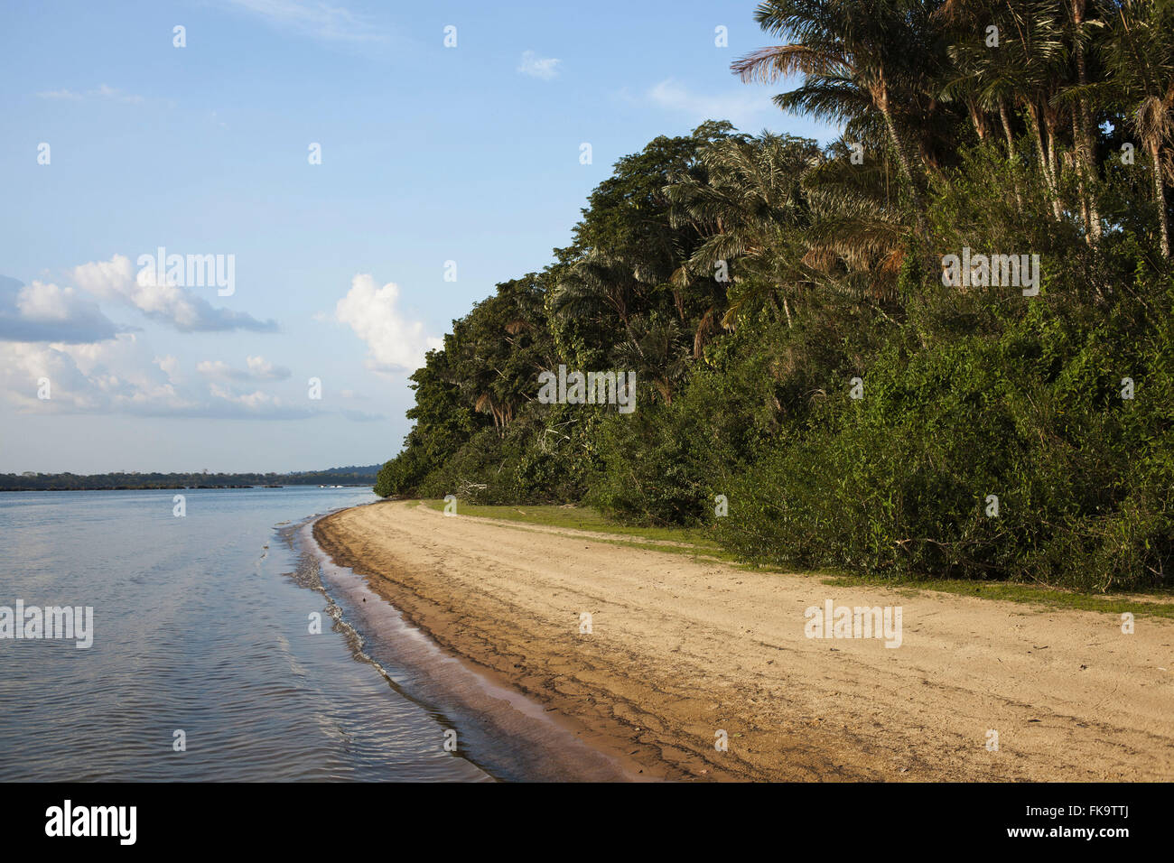 Rio Xingu region in the municipality of Altamira Stock Photo - Alamy