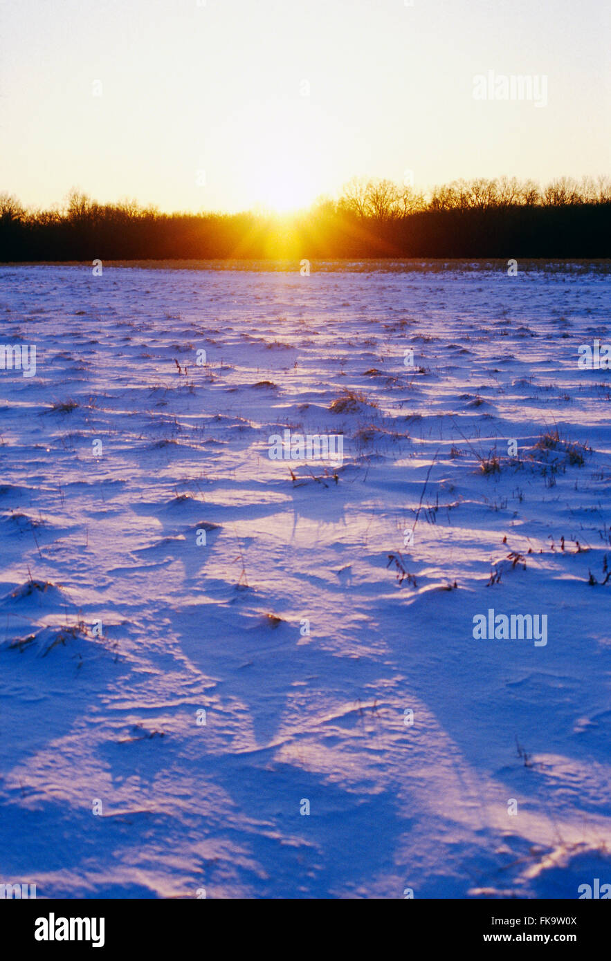 Stark winter landscape hi-res stock photography and images - Alamy