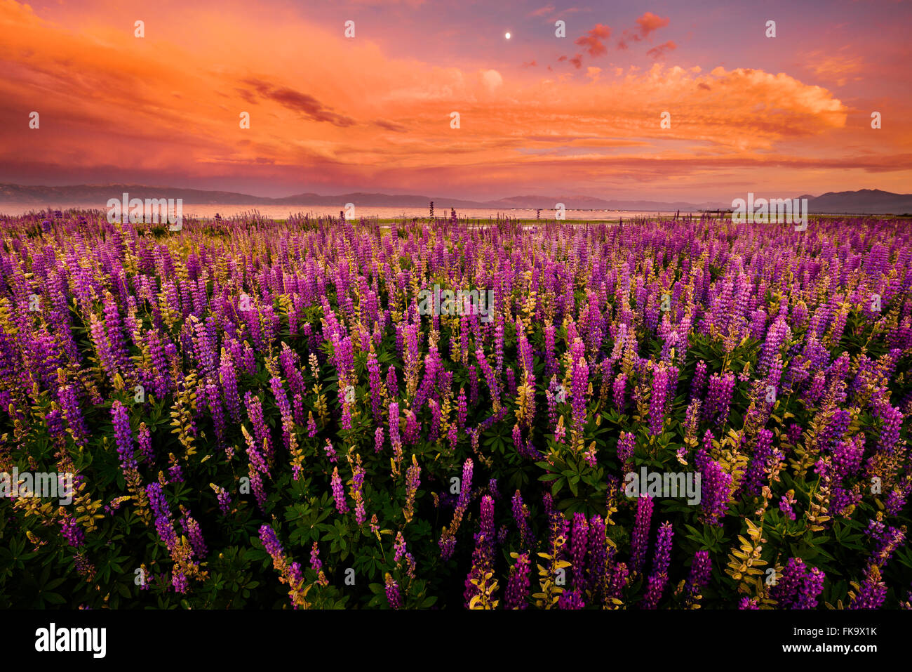 Blood Red Sunset High Resolution Stock Photography and Images - Alamy