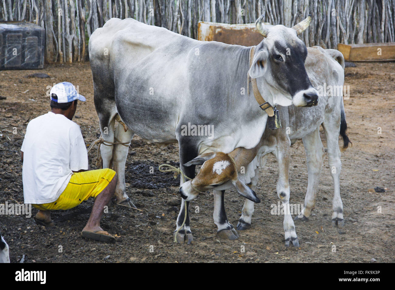 Two farm workers hi-res stock photography and images - Alamy