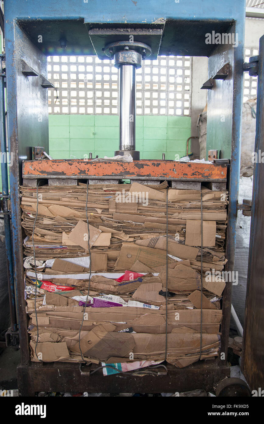 Pressed cardboard for recycling Stock Photo - Alamy