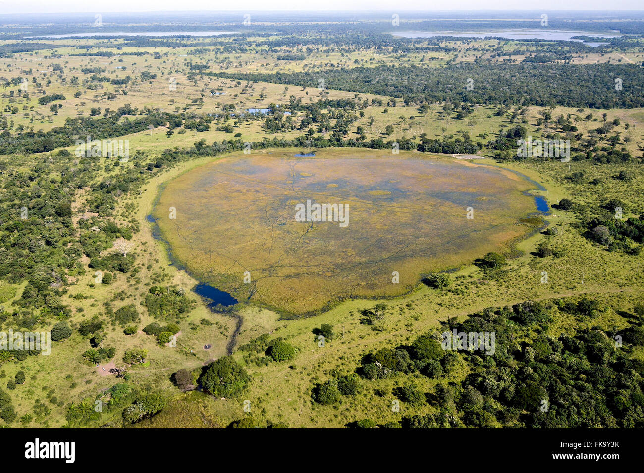 Aerial view wetland pond hi-res stock photography and images - Alamy