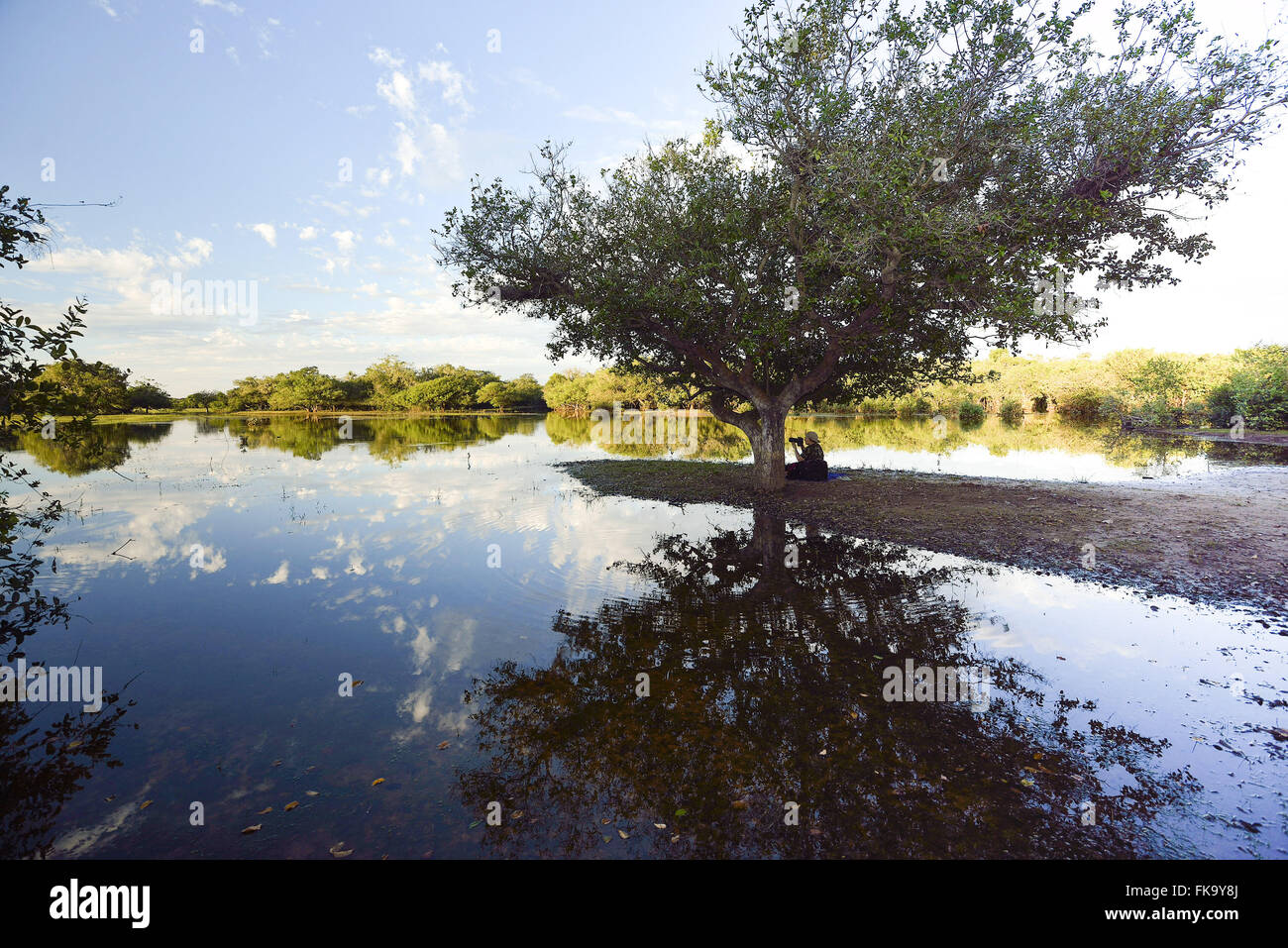 Flooded Castle High Resolution Stock Photography and Images - Alamy