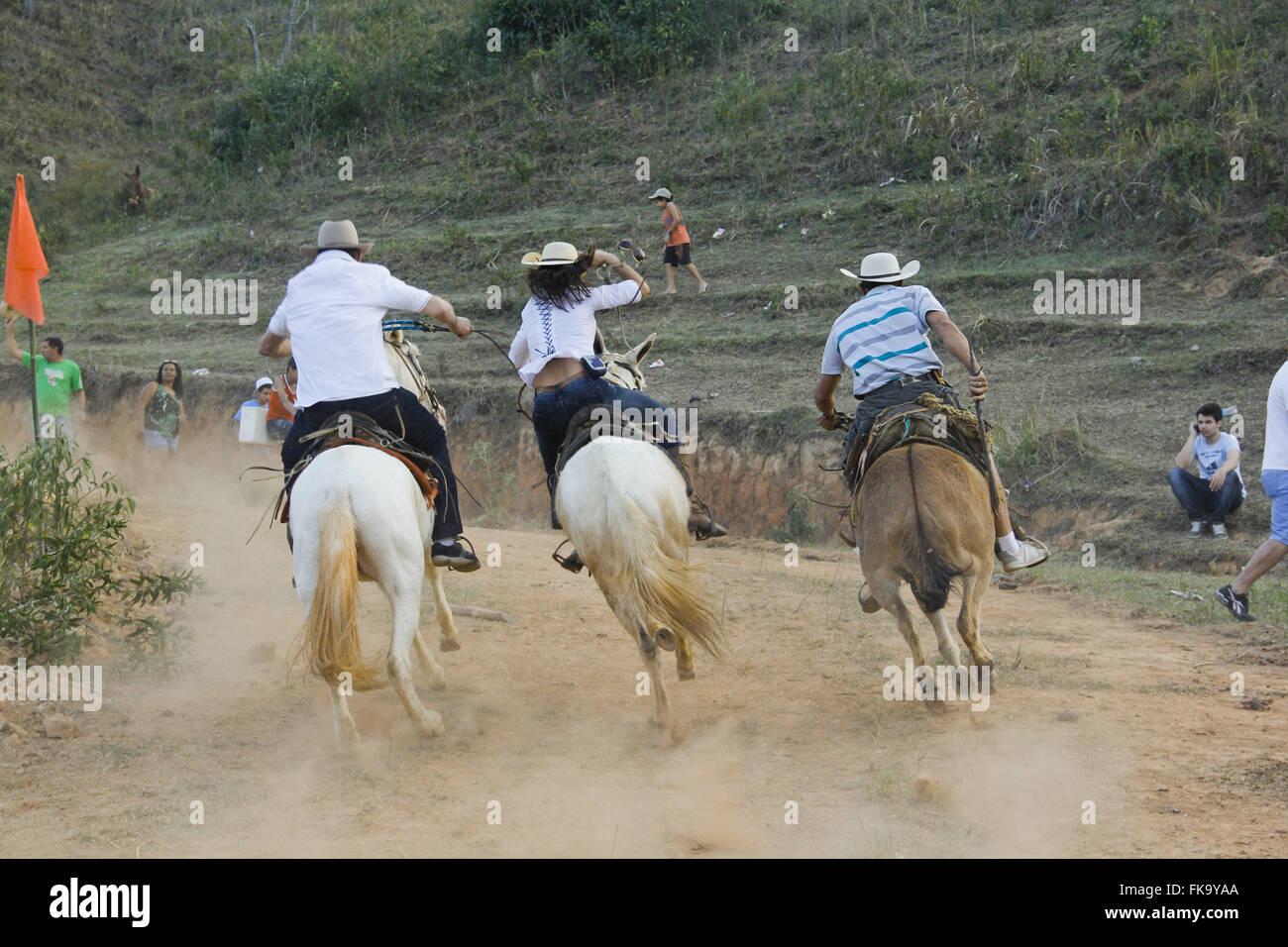 For mule - mules during the race National Party Drover Stock Photo - Alamy