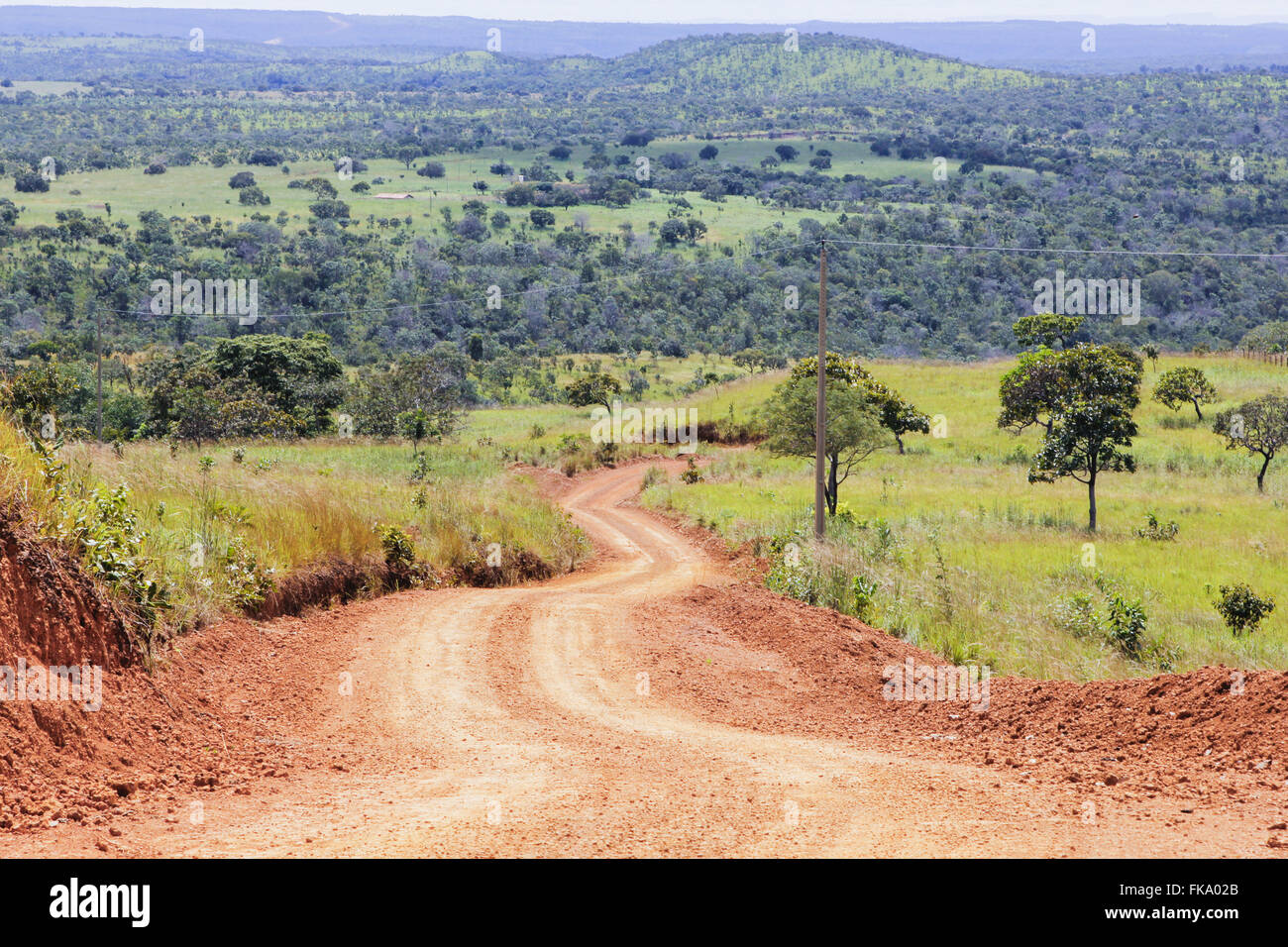 Cerrado vegetation hi-res stock photography and images - Alamy