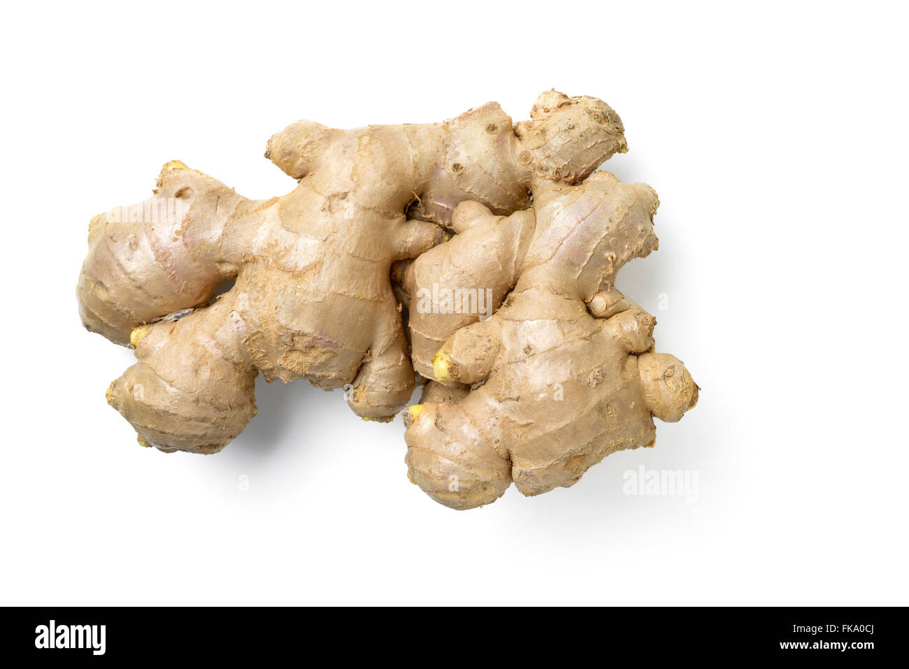 Chinese ginger plant Cut Out Stock Images & Pictures - Alamy