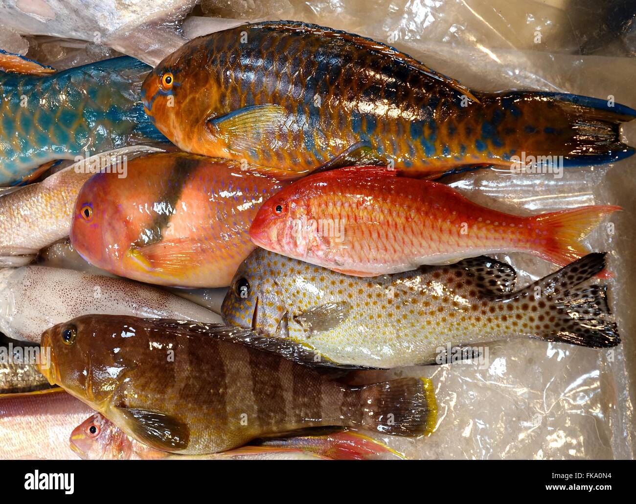 Fresh fish sold local hi-res stock photography and images - Alamy
