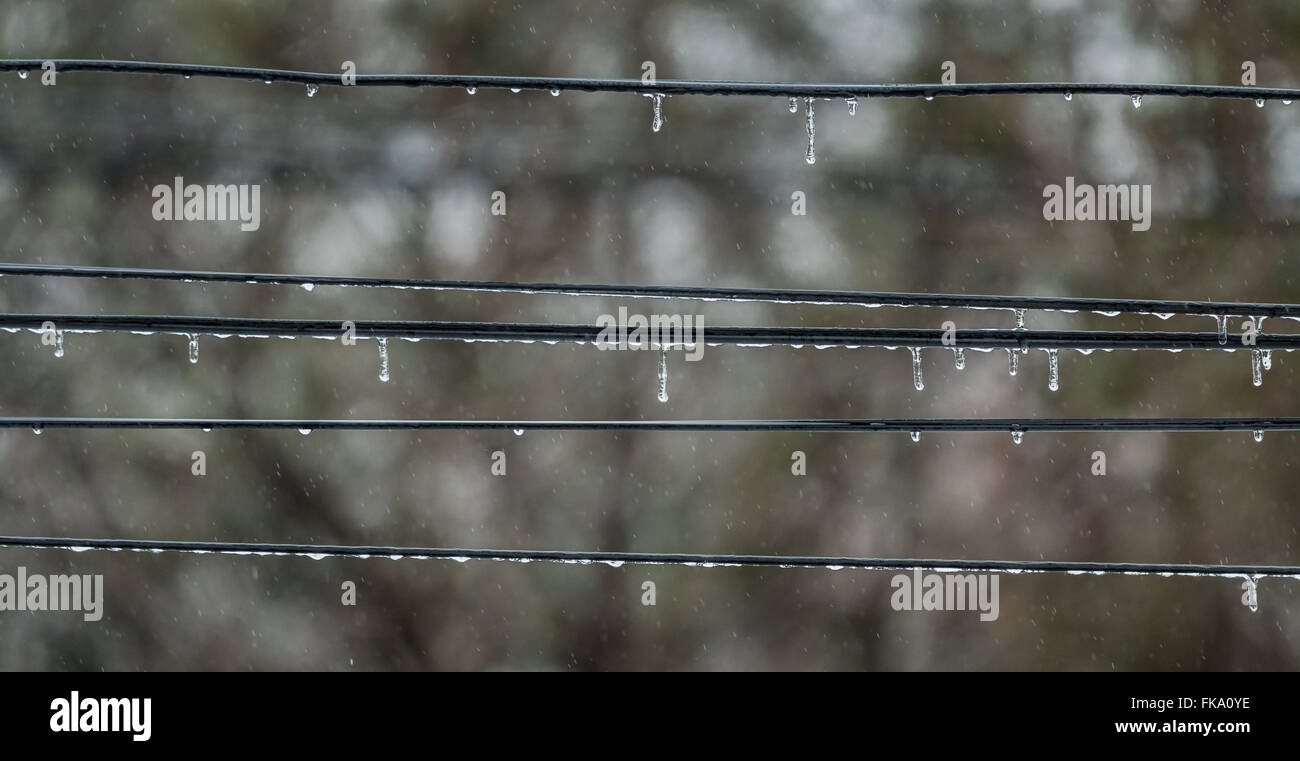Freezing rain on wires Stock Photo - Alamy