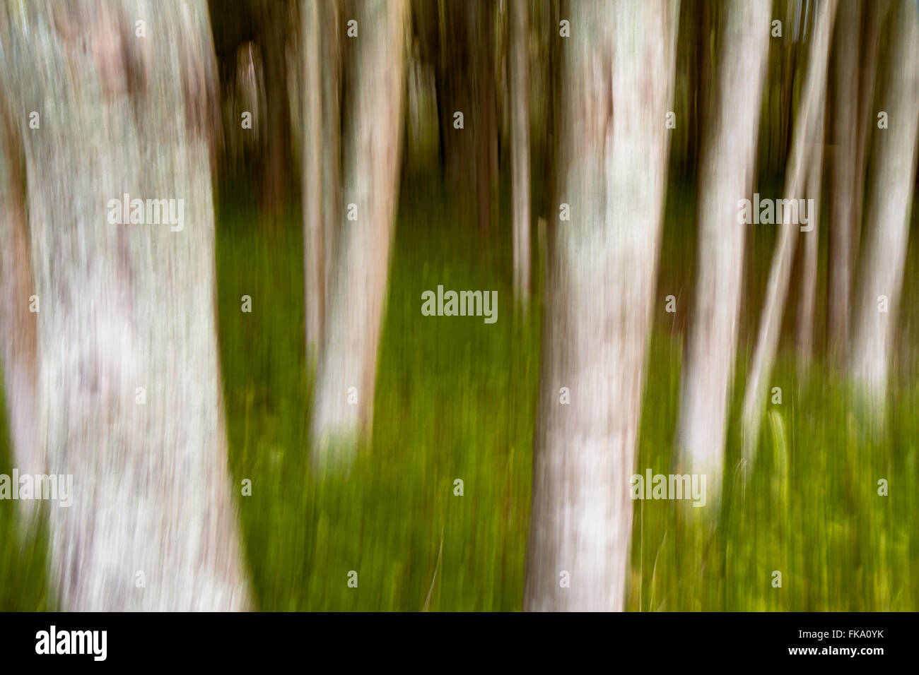 Panning photograph hi-res stock photography and images - Alamy