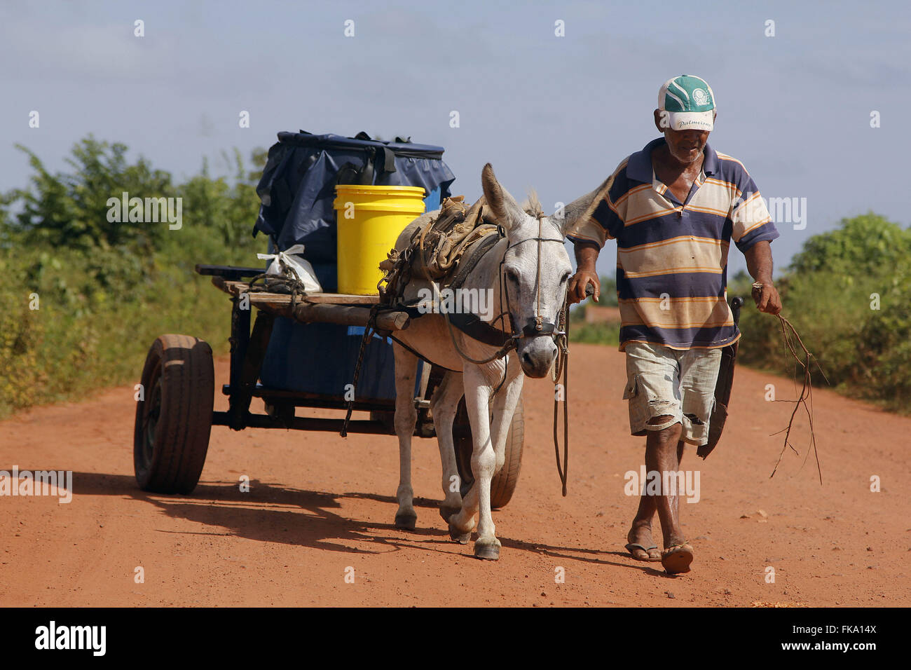 Load animals hi-res stock photography and images - Alamy