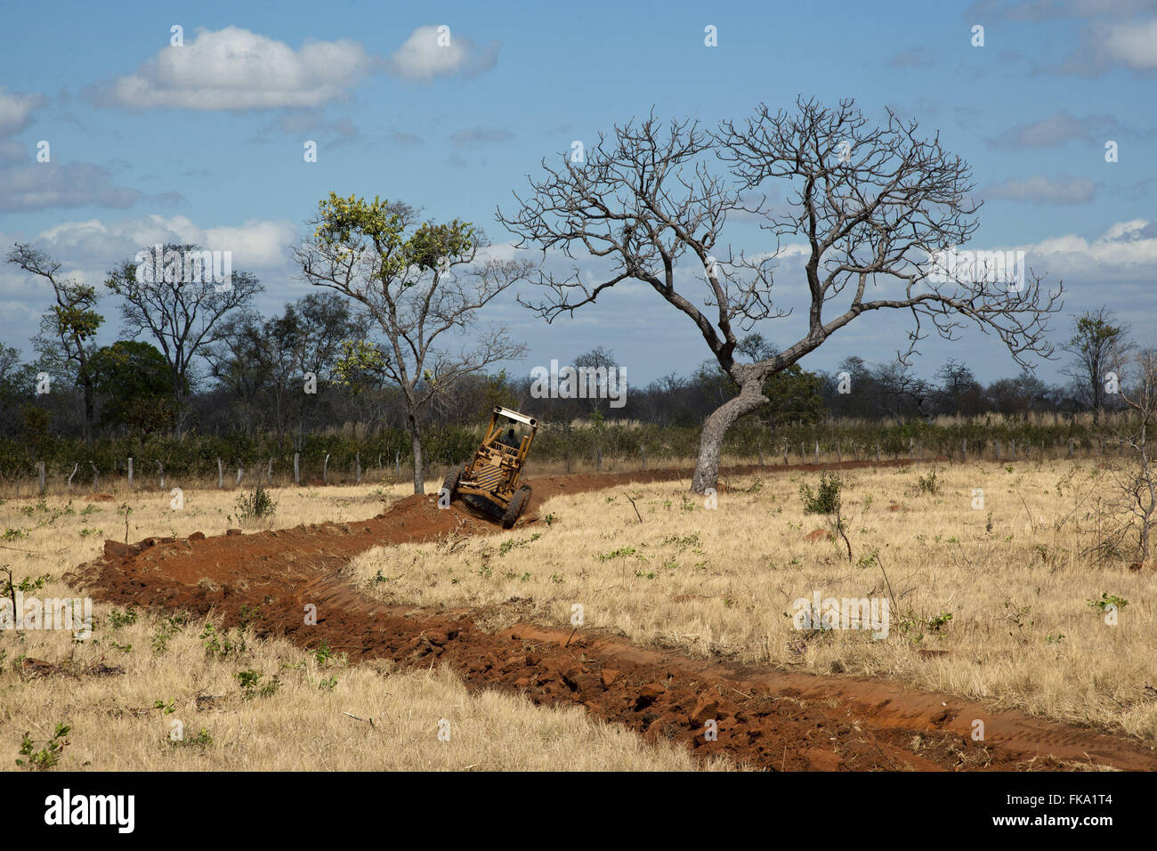 Prevent soil erosion hi-res stock photography and images - Alamy