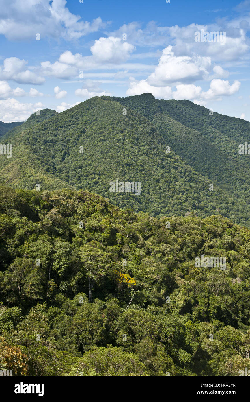 Valley Betari in PETAR - Tourist State Park of Alto Ribeira Stock Photo ...