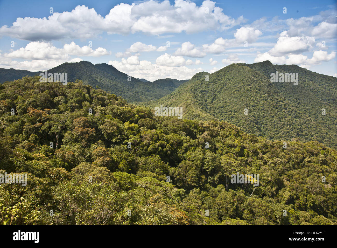 Valley Betari in PETAR - Tourist State Park of Alto Ribeira Stock Photo ...