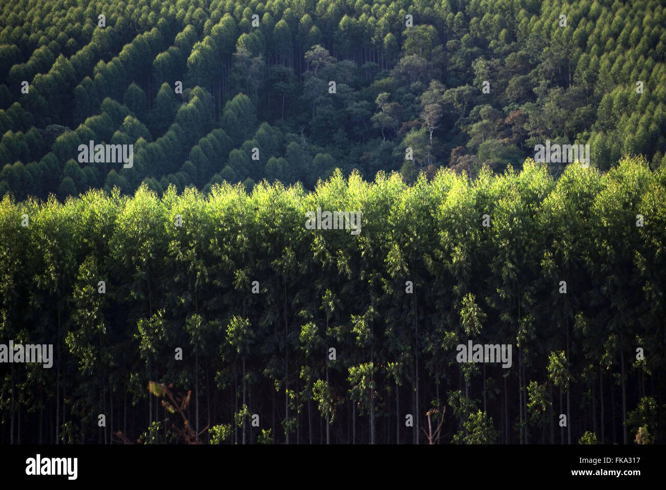 Rural brazil hi-res stock photography and images - Alamy