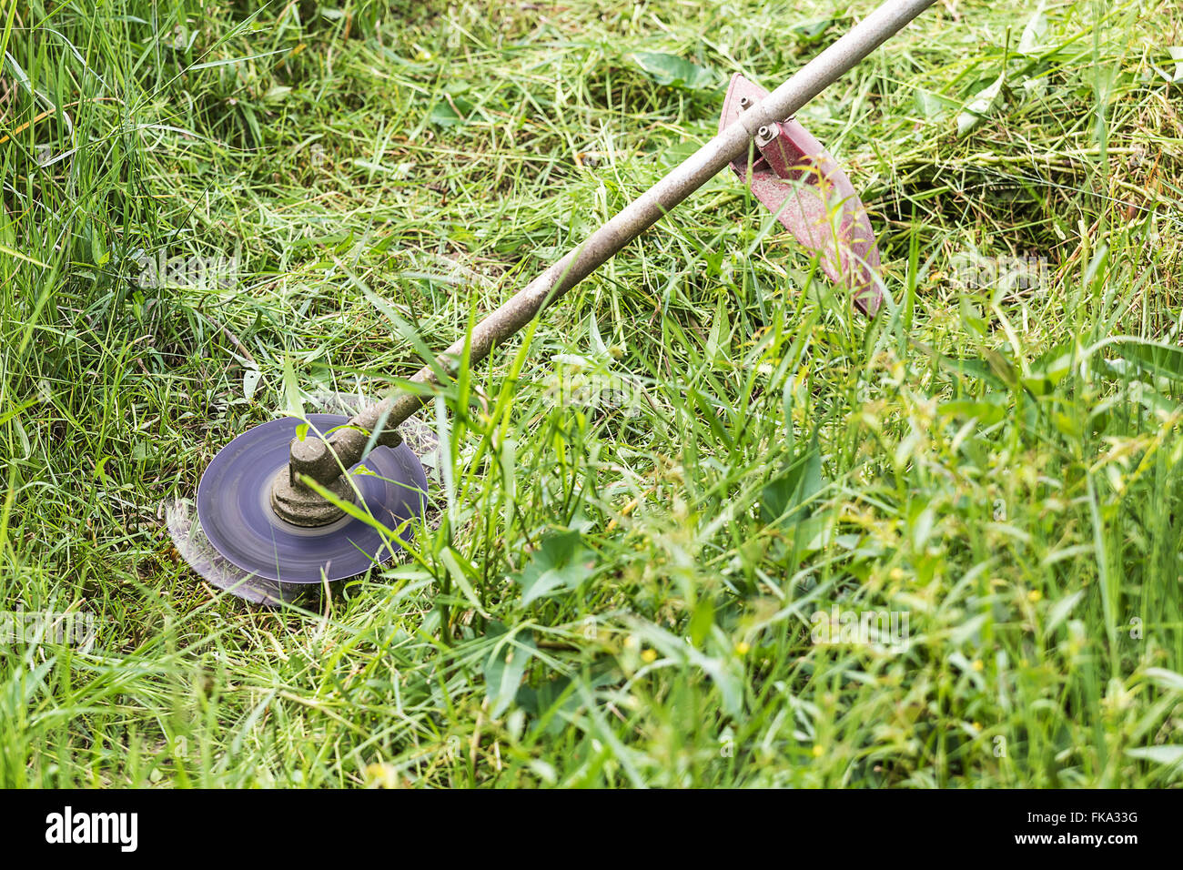 Close up shot mowers engine cutting grass and a weed Stock Photo - Alamy
