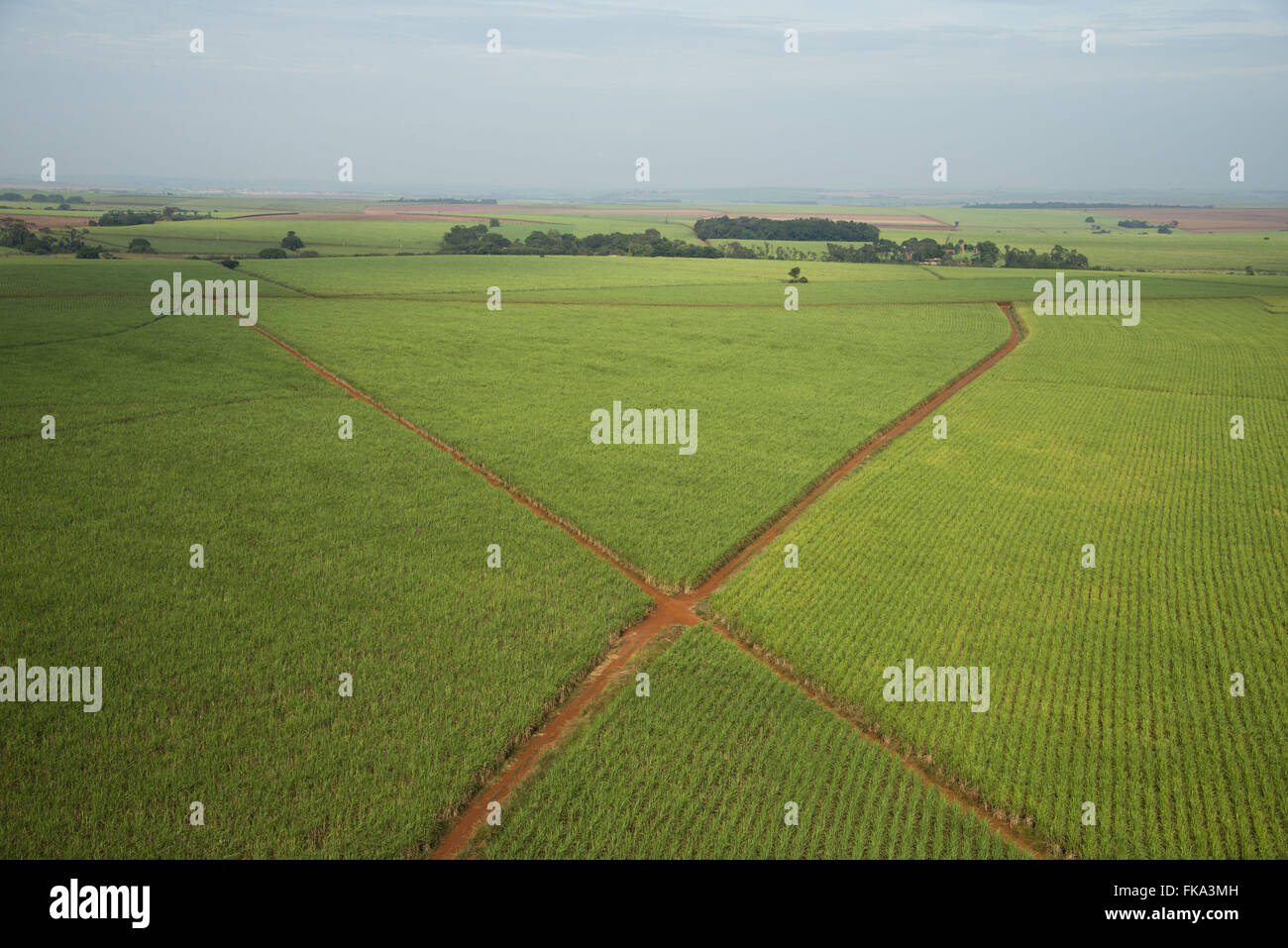 Aerial sugar cane plantation hi-res stock photography and images - Alamy