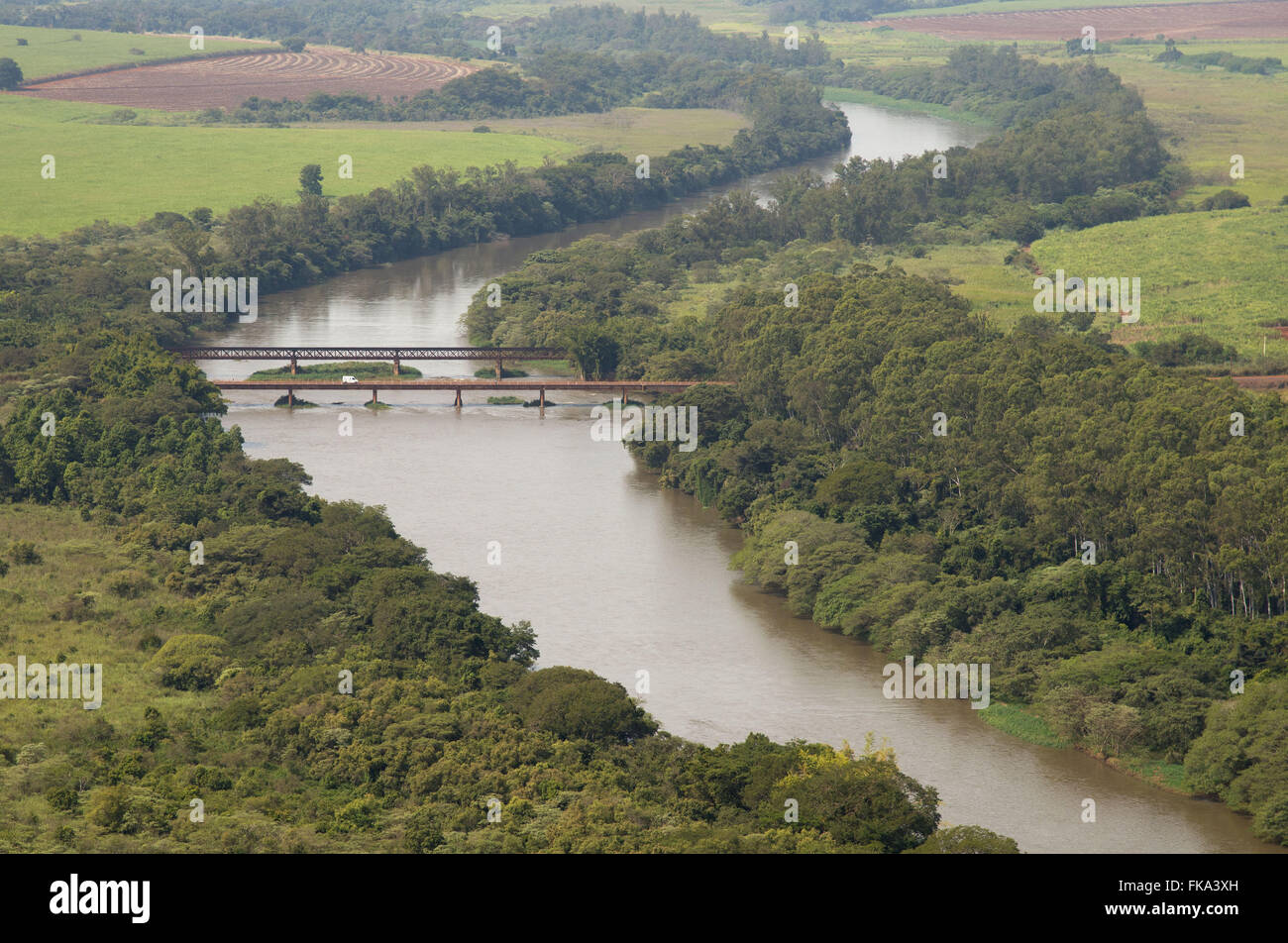 Pardo hi-res stock photography and images - Alamy