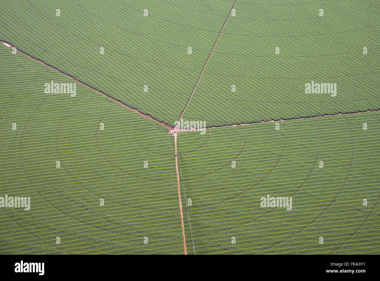 Pivot sprinkler maize hi-res stock photography and images - Alamy