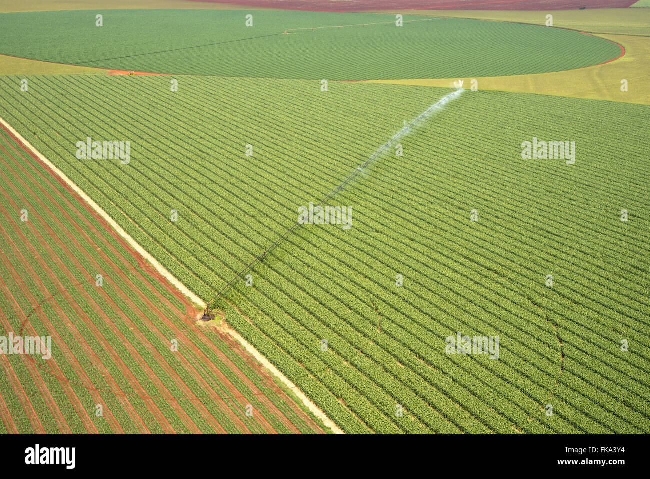 Aerial view of plantation of maize under central pivot irrigation Stock ...