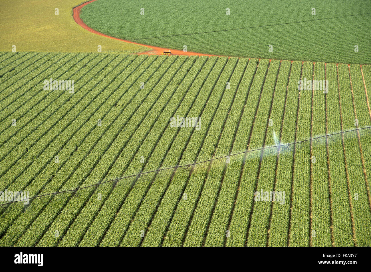 Aerial view of plantation of maize under central pivot irrigation Stock ...