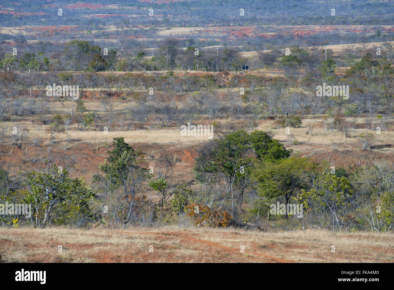 Desertification hi-res stock photography and images - Alamy