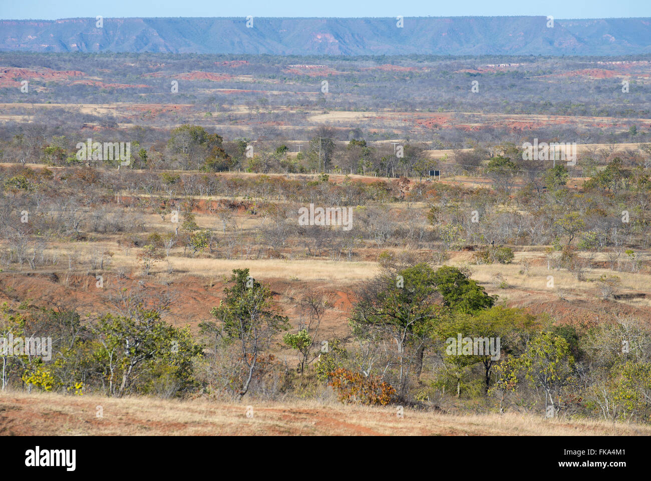 Desertification hi-res stock photography and images - Alamy