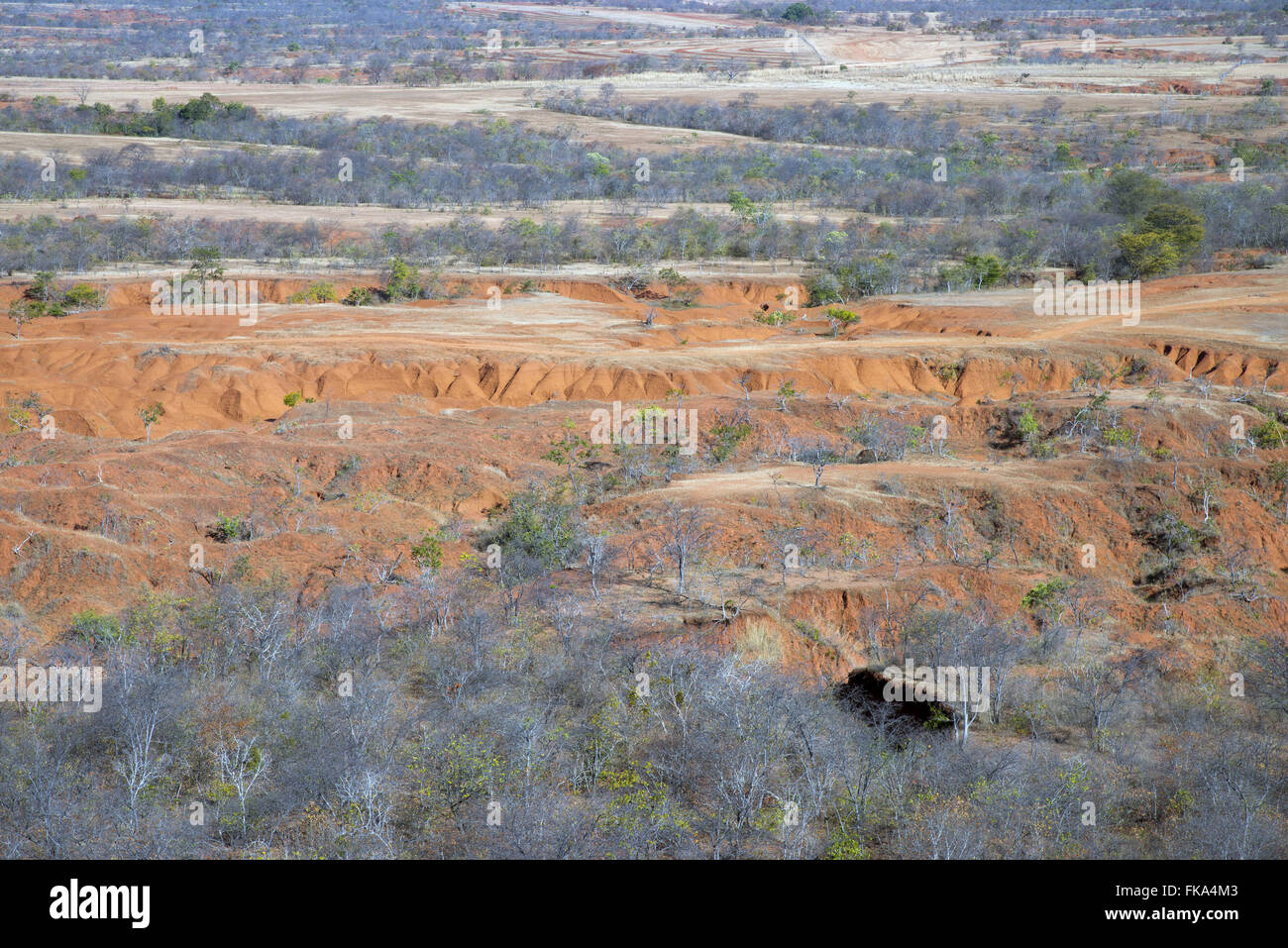 Desertification hi-res stock photography and images - Alamy