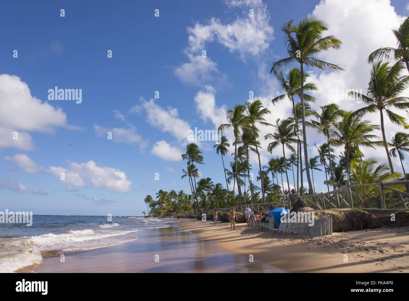 Out of Taipu Beach - Marau Peninsula - south of Bahia Stock Photo - Alamy