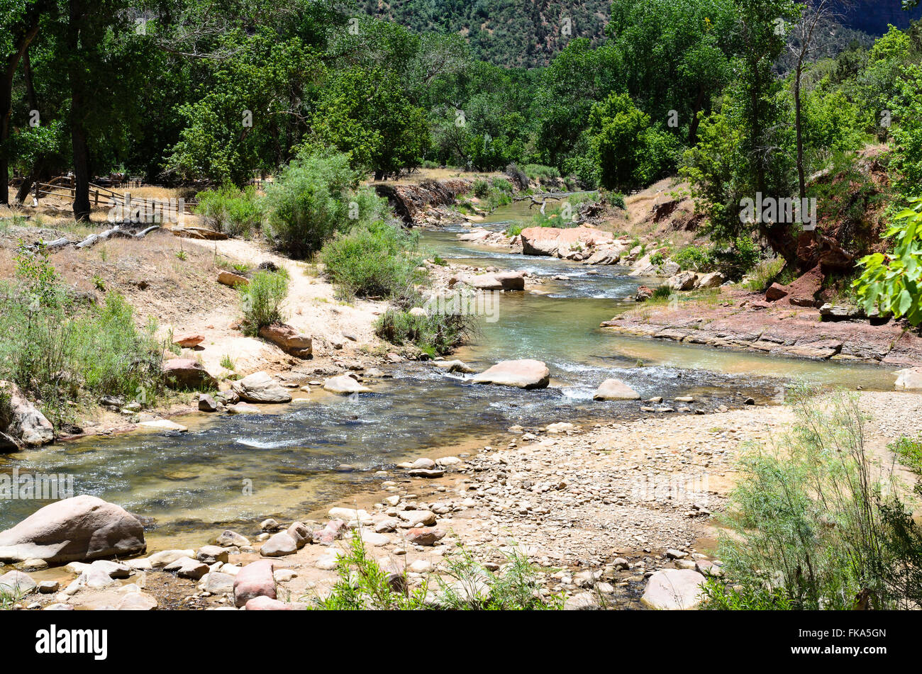 A river flowing through green trees and brush with large rocks in it ...