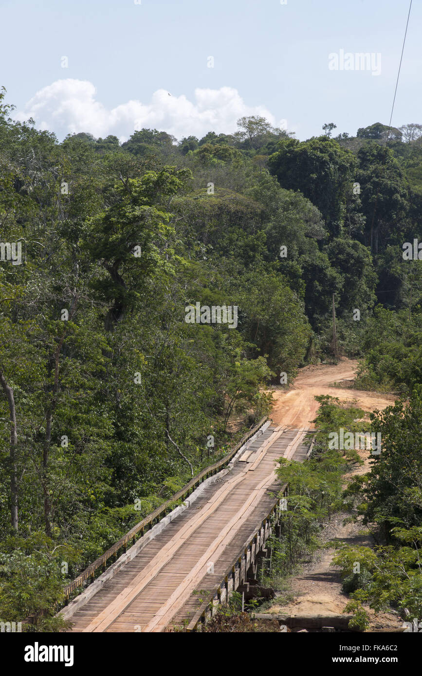 Wooden bridge in the forest hi-res stock photography and images - Alamy