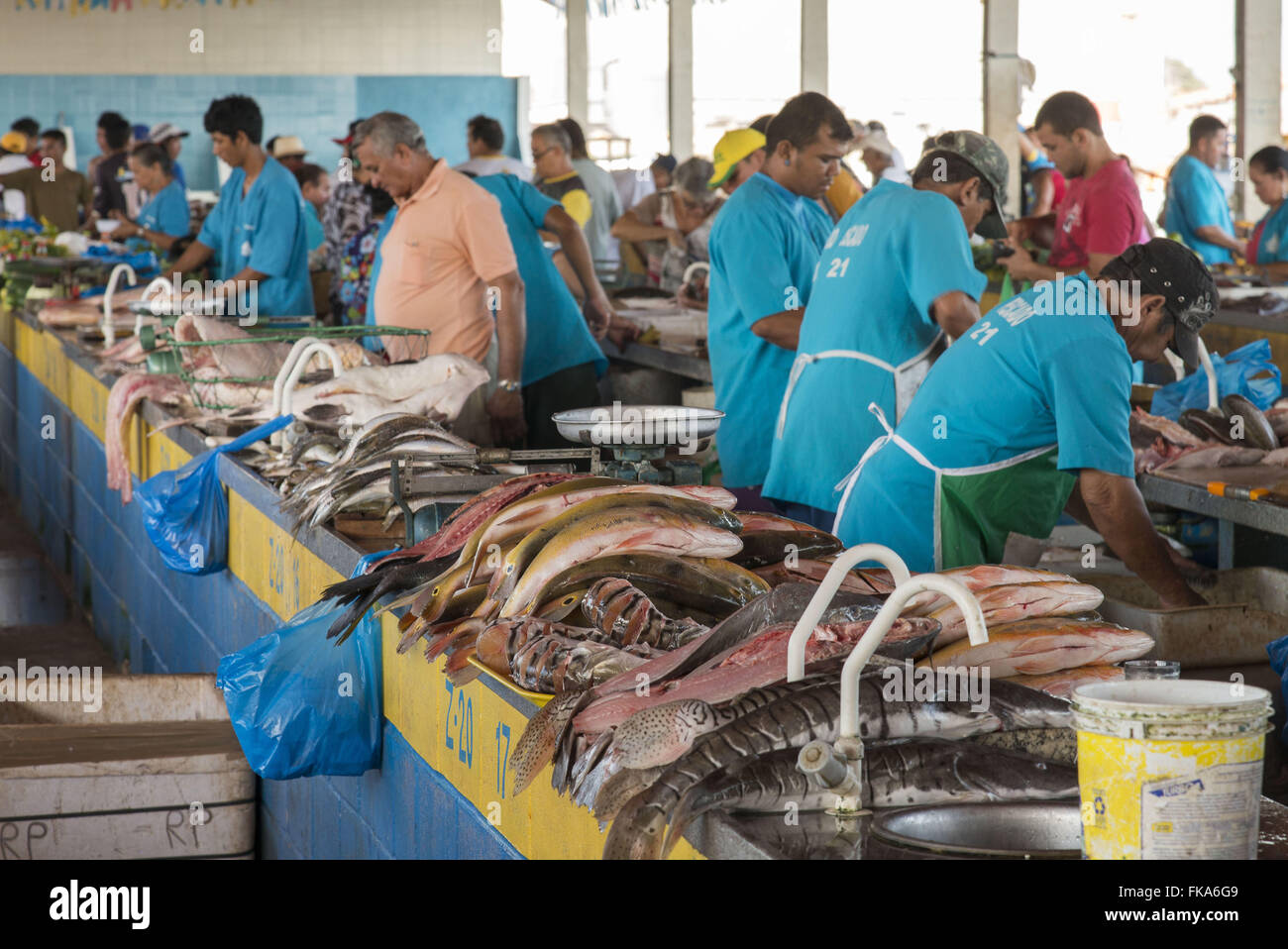 City Fish Market Stock Photo - Alamy