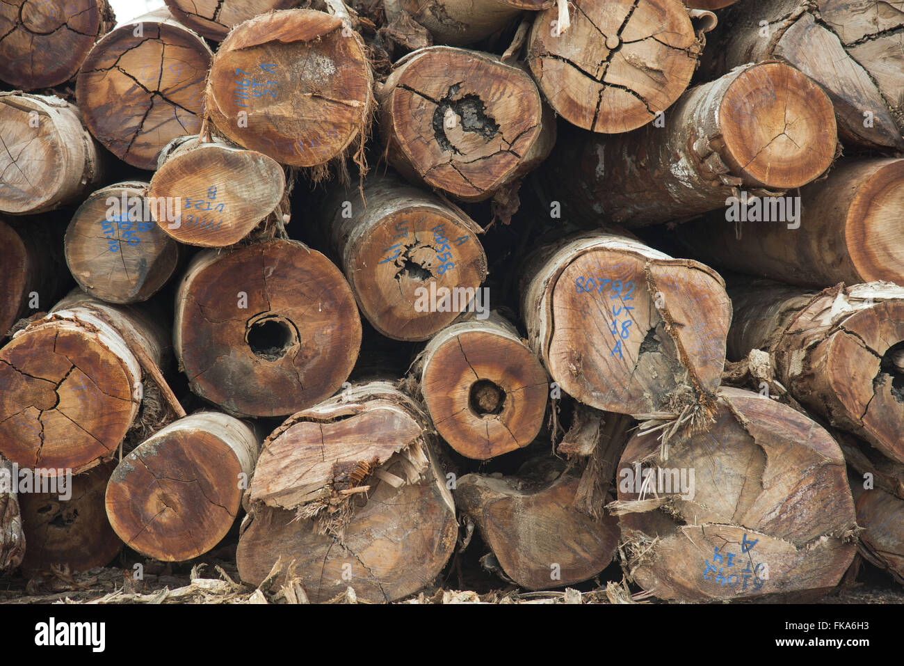 Timber circle hi-res stock photography and images - Alamy