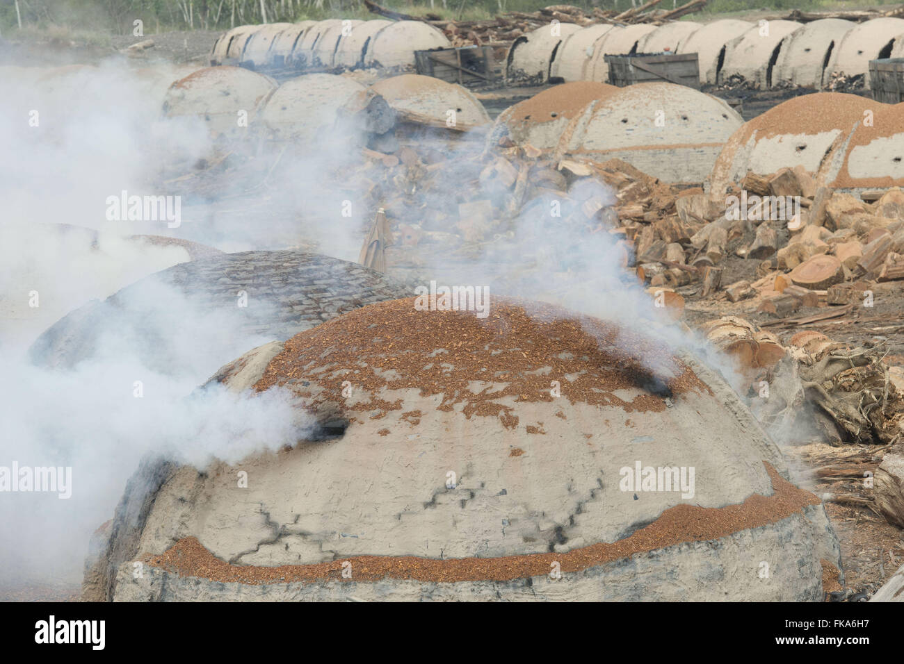 Production of coal for steel with wood chip forest management Stock ...