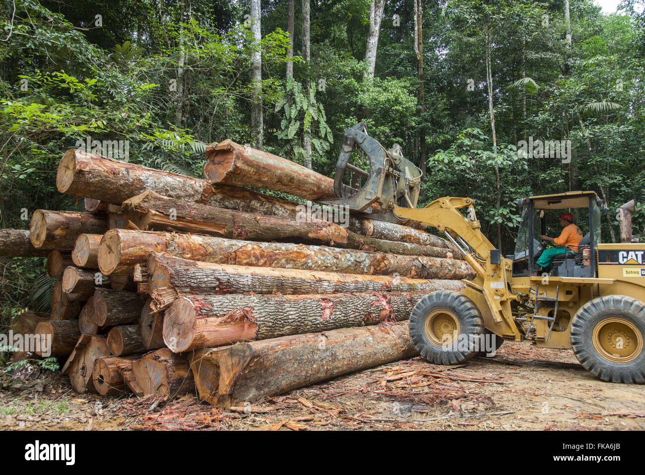 Stacking timber hi-res stock photography and images - Alamy