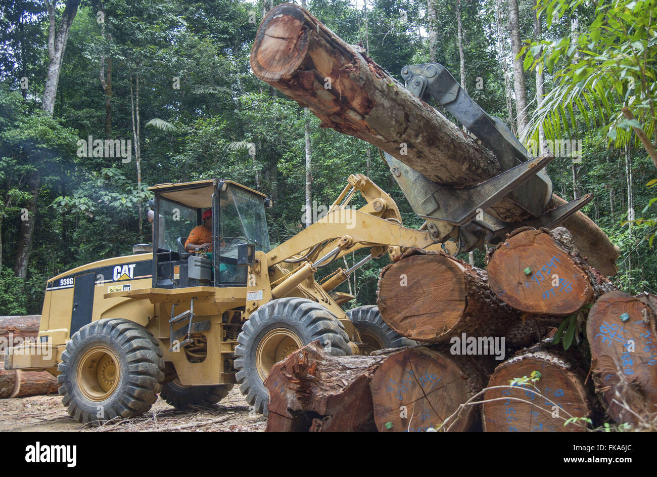 Machine makes stacking logs on patio Stock Photo - Alamy