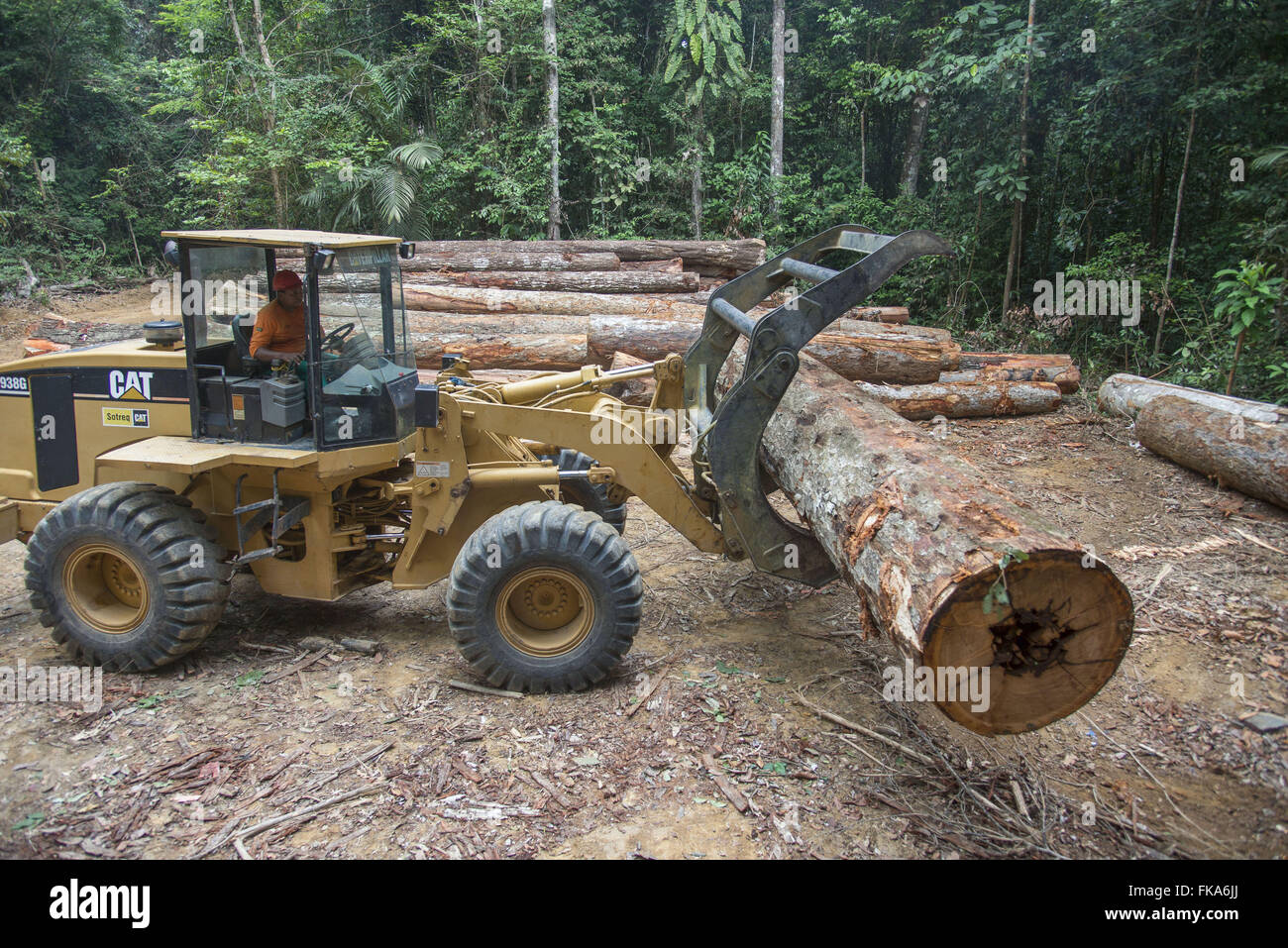 Stacking timber hi-res stock photography and images - Alamy