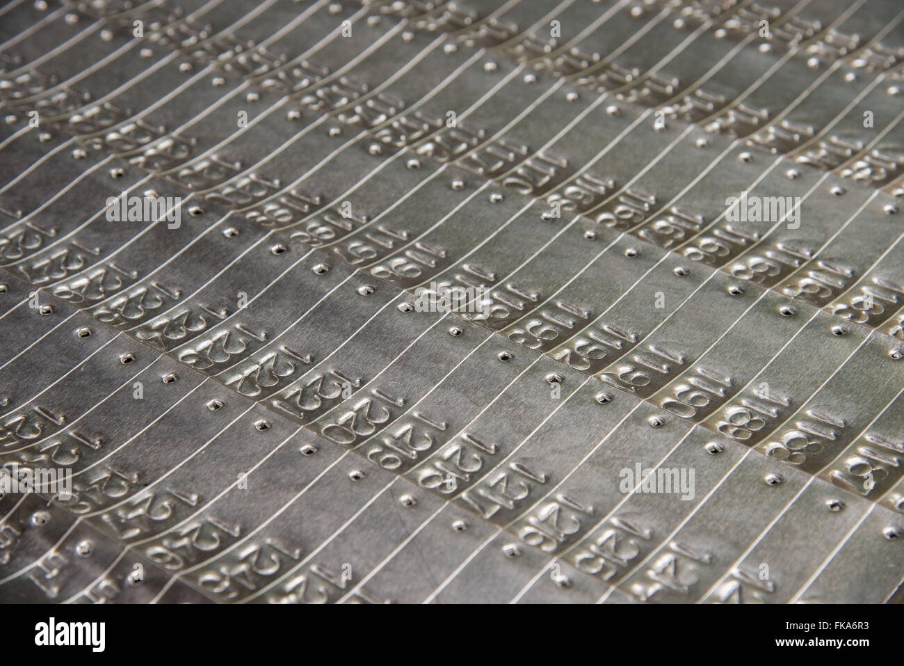 Aluminum plate where the numbers are recorded to identify the trees ...