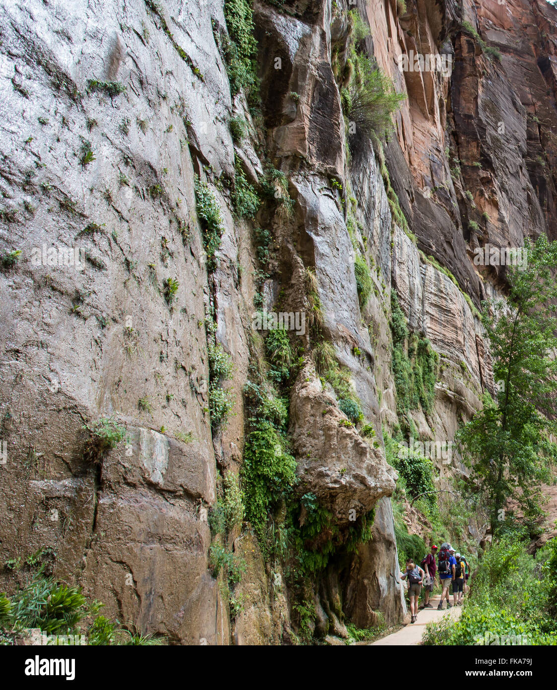 The Narrows Trail Stock Photo - Alamy