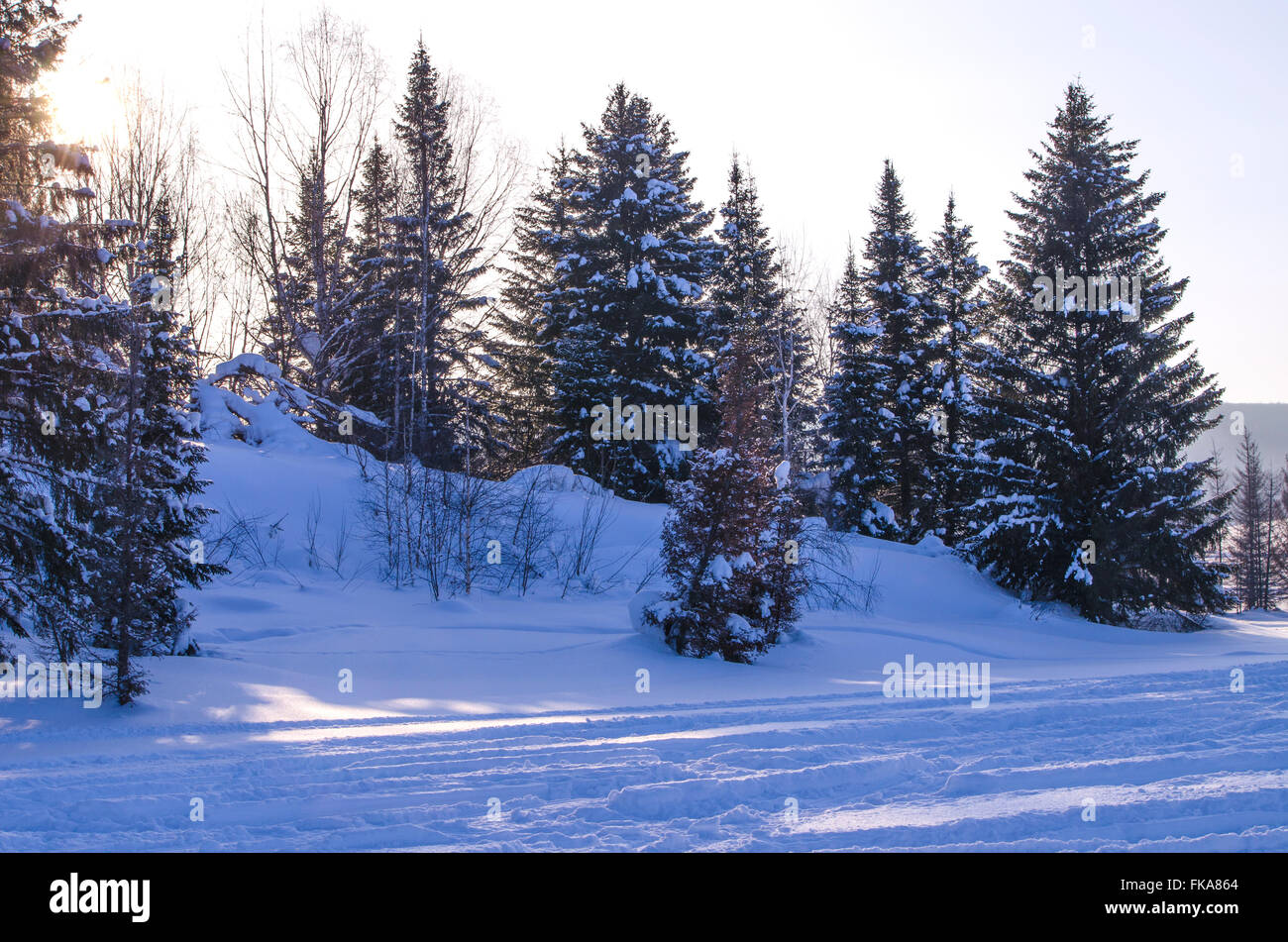 Siberia landscape winter hi-res stock photography and images - Alamy