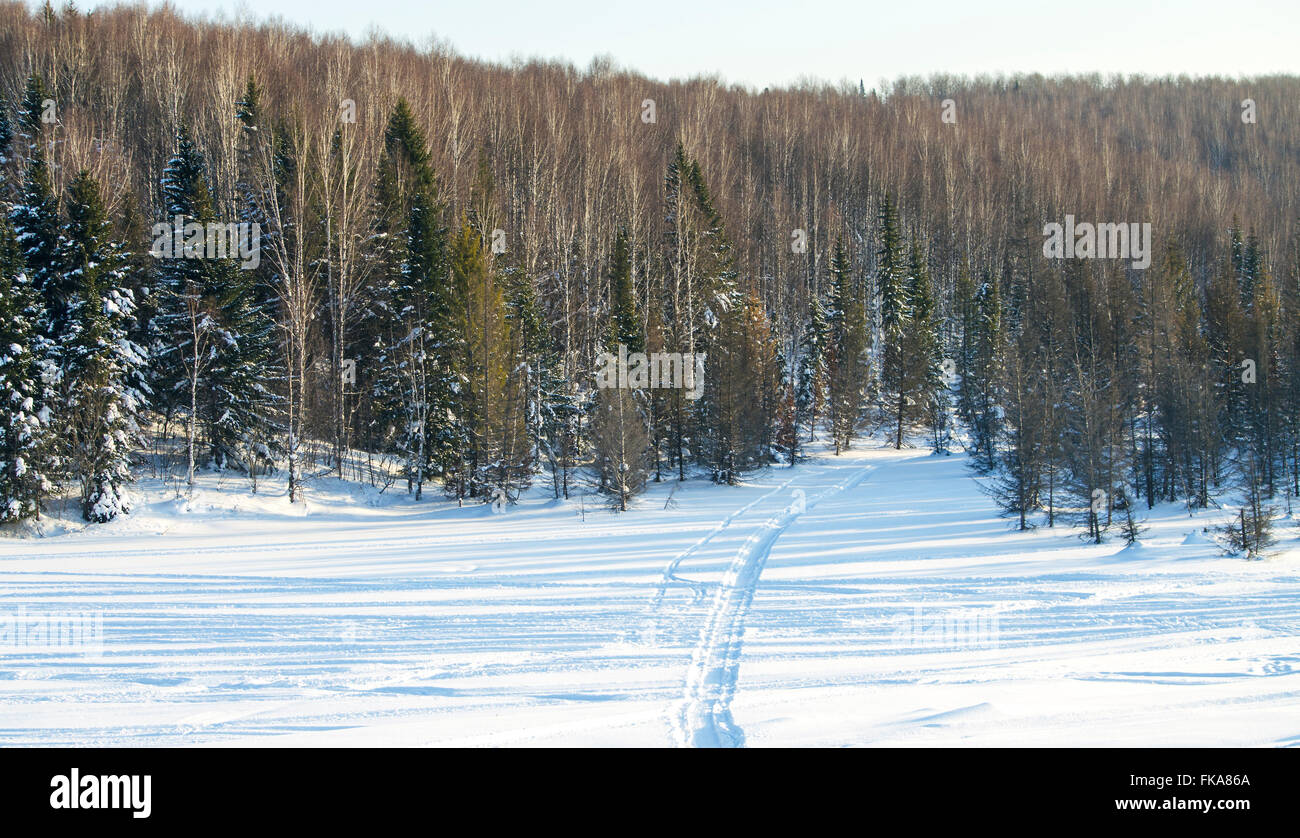 Siberia russia taiga not car hi-res stock photography and images - Alamy