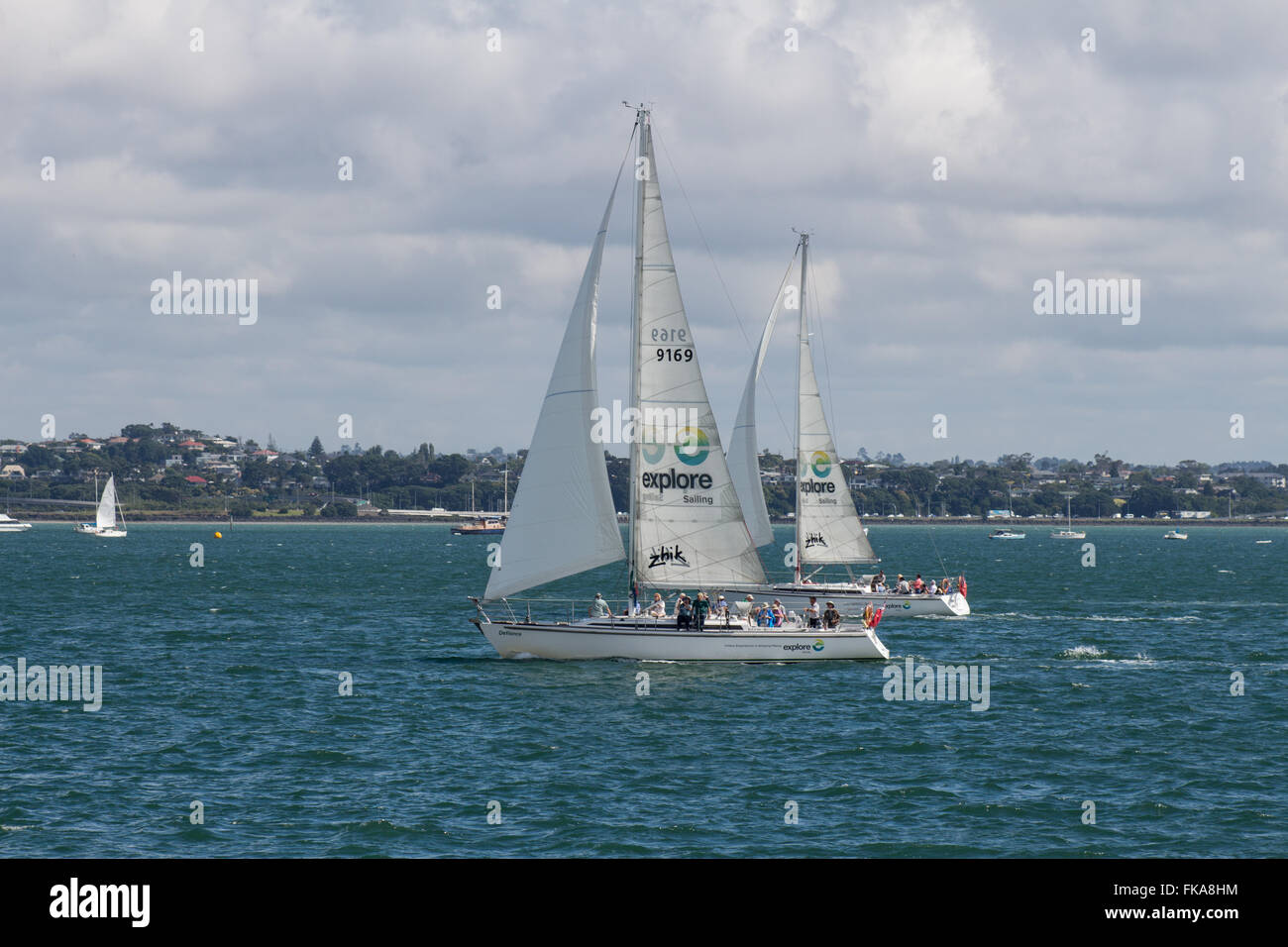 Explore nz sailing in auckland hi-res stock photography and images - Alamy